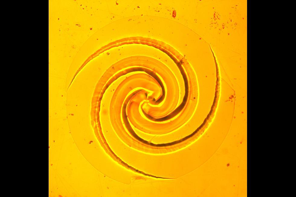 Chemical reaction results in ‘remarkable’ swirling patterns on ...